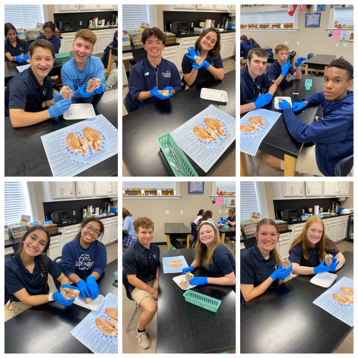 Sheep Heart Dissection Cypress Christian School